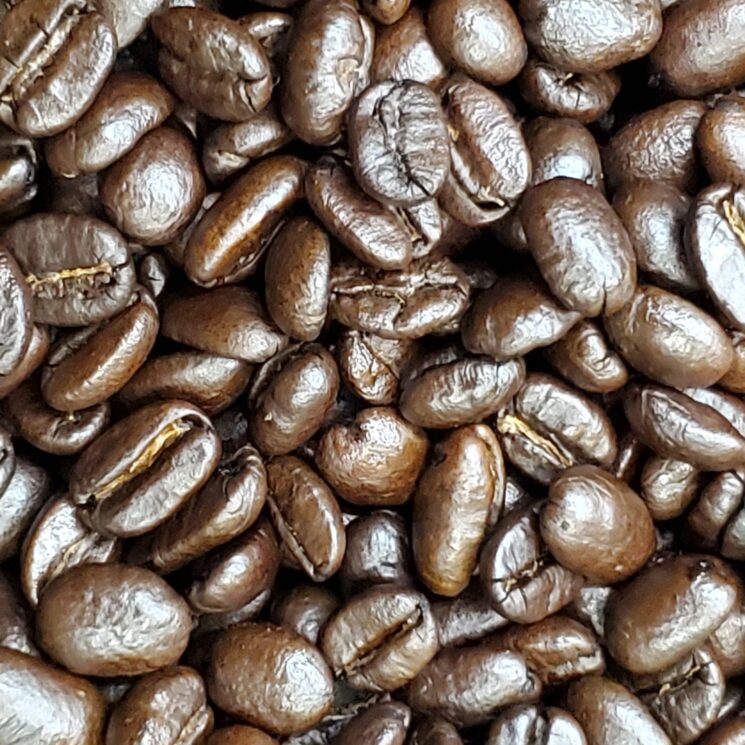 【DFR環】GABU NOMI ICE COFFEE 2022 1Kg | Coffee Pro