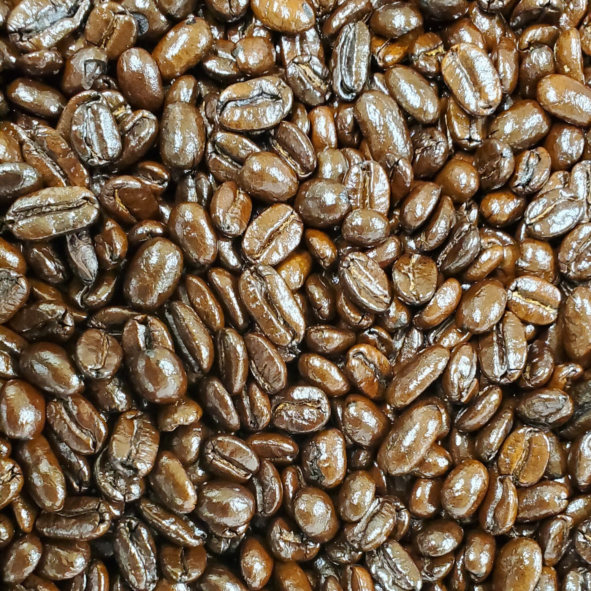 【DFR環】GABU NOMI ICE COFFEE 2023 500g + Omake HOME BLEND 80g | Coffee Pro